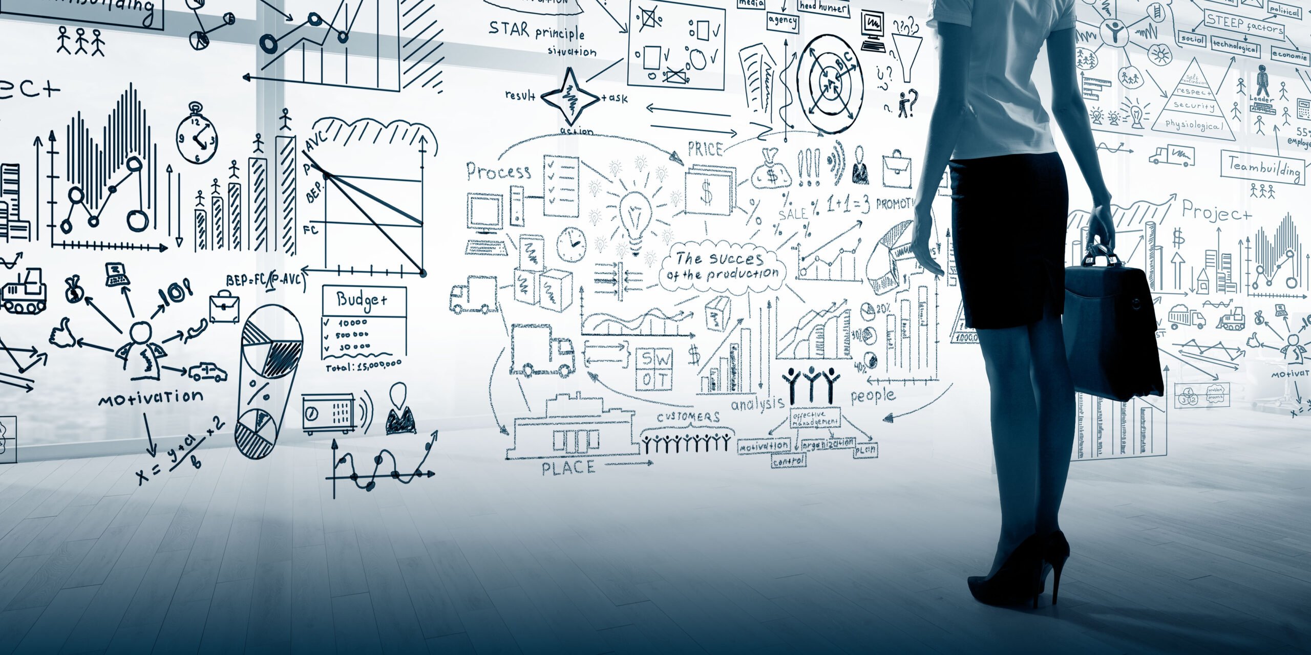 Technology Advisory for a PE-Driven MBO & Post-Deal Assitance ...